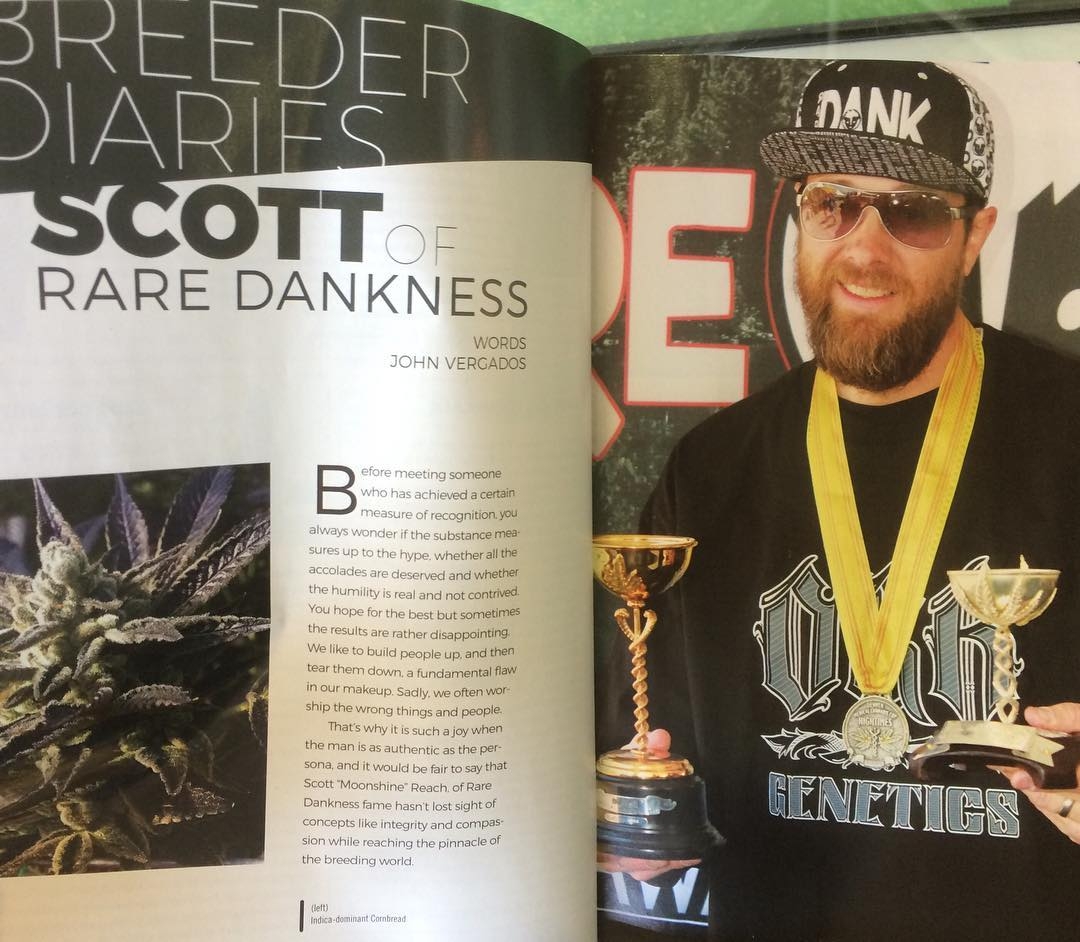 Rare Dankness breeder. Seed bank info - GrowDiaries