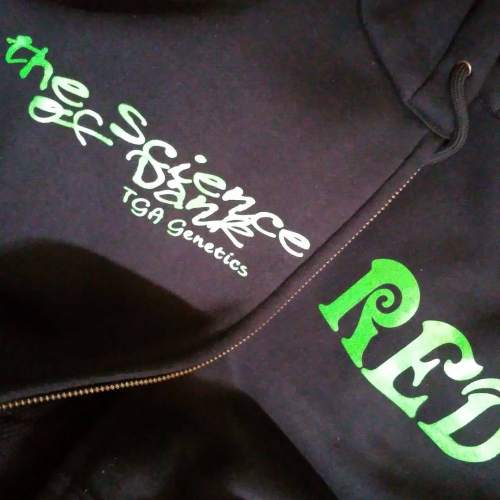 TGA Genetics Subcool Seeds breeder. Seed bank info - GrowDiaries