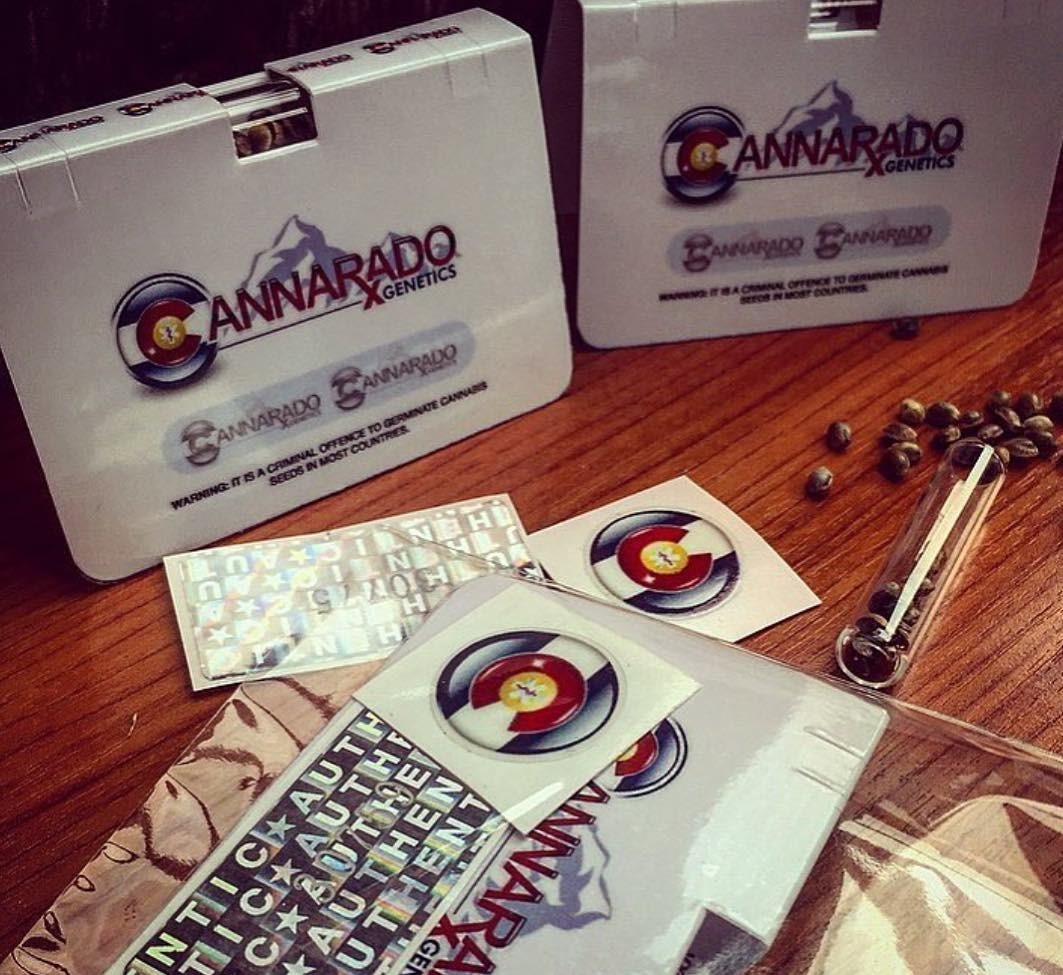 Cannarado Genetics breeder. Seed bank info - GrowDiaries