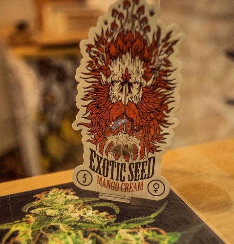 Exotic Seed breeder. Seed bank info - GrowDiaries