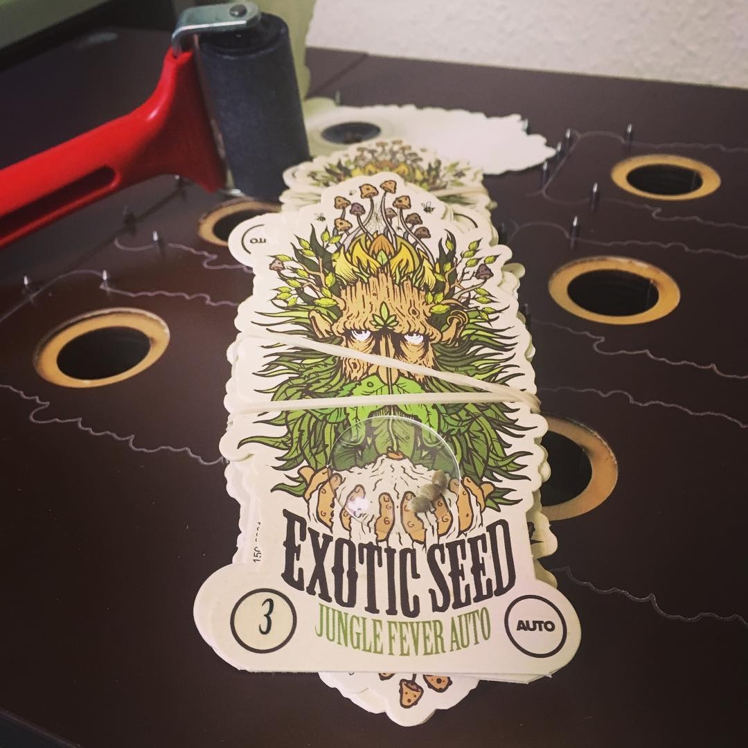 Exotic Seed breeder. Seed bank info - GrowDiaries