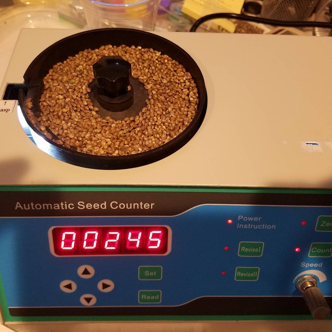 In House Genetics breeder. Seed bank info - GrowDiaries