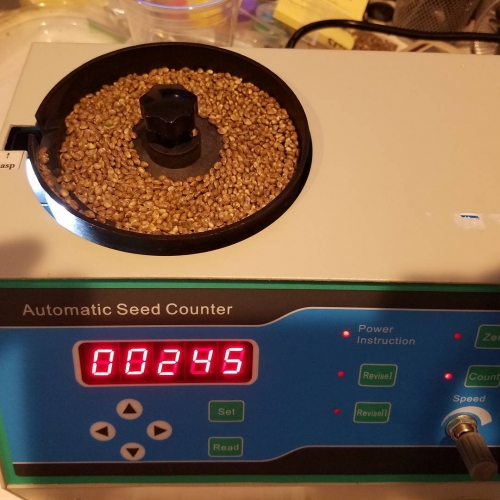 In House Genetics breeder. Seed bank info - GrowDiaries