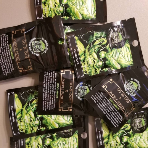 In House Genetics breeder. Seed bank info - GrowDiaries