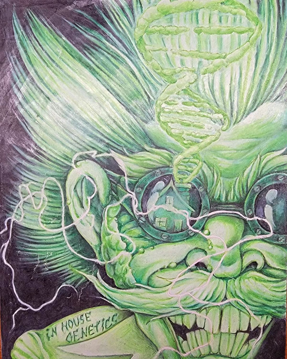 In House Genetics breeder. Seed bank info - GrowDiaries