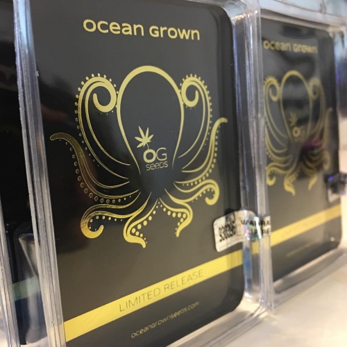 Ocean Grown Seeds breeder. Seed bank info - GrowDiaries