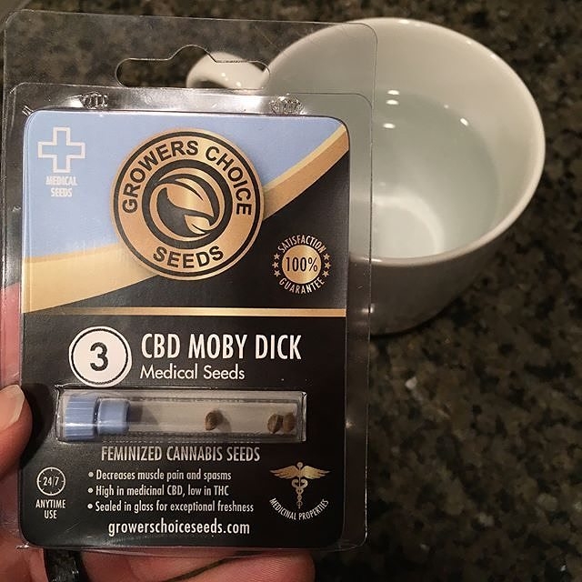 Growers Choice Seeds breeder. Seed bank info - GrowDiaries