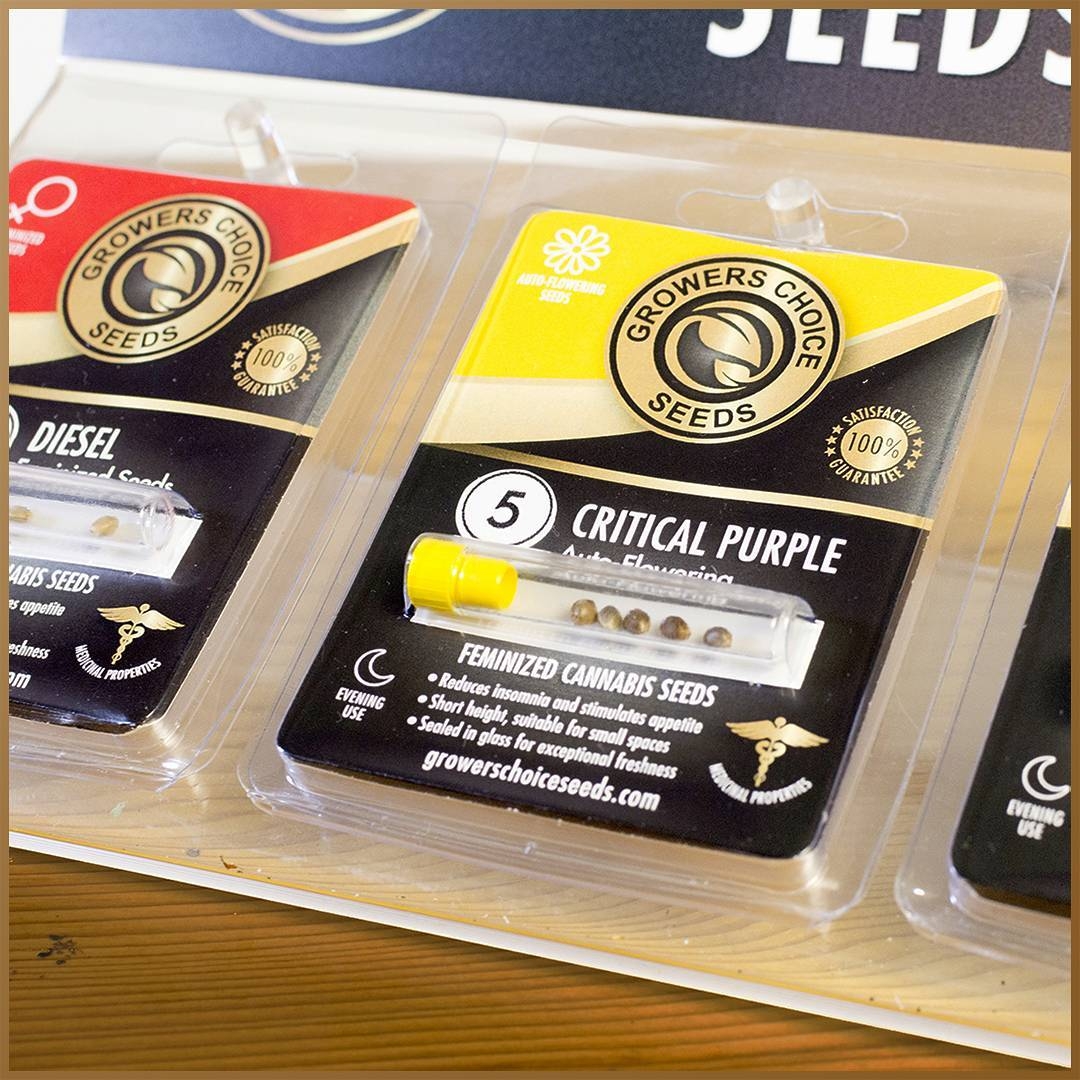 Growers Choice Seeds breeder. Seed bank info - GrowDiaries