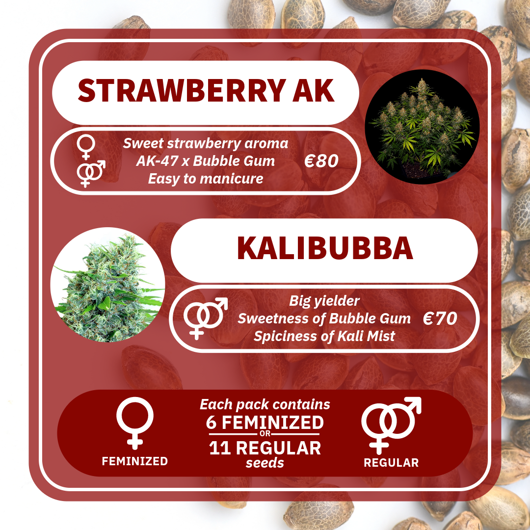 Serious Seeds breeder. Seed bank info - GrowDiaries