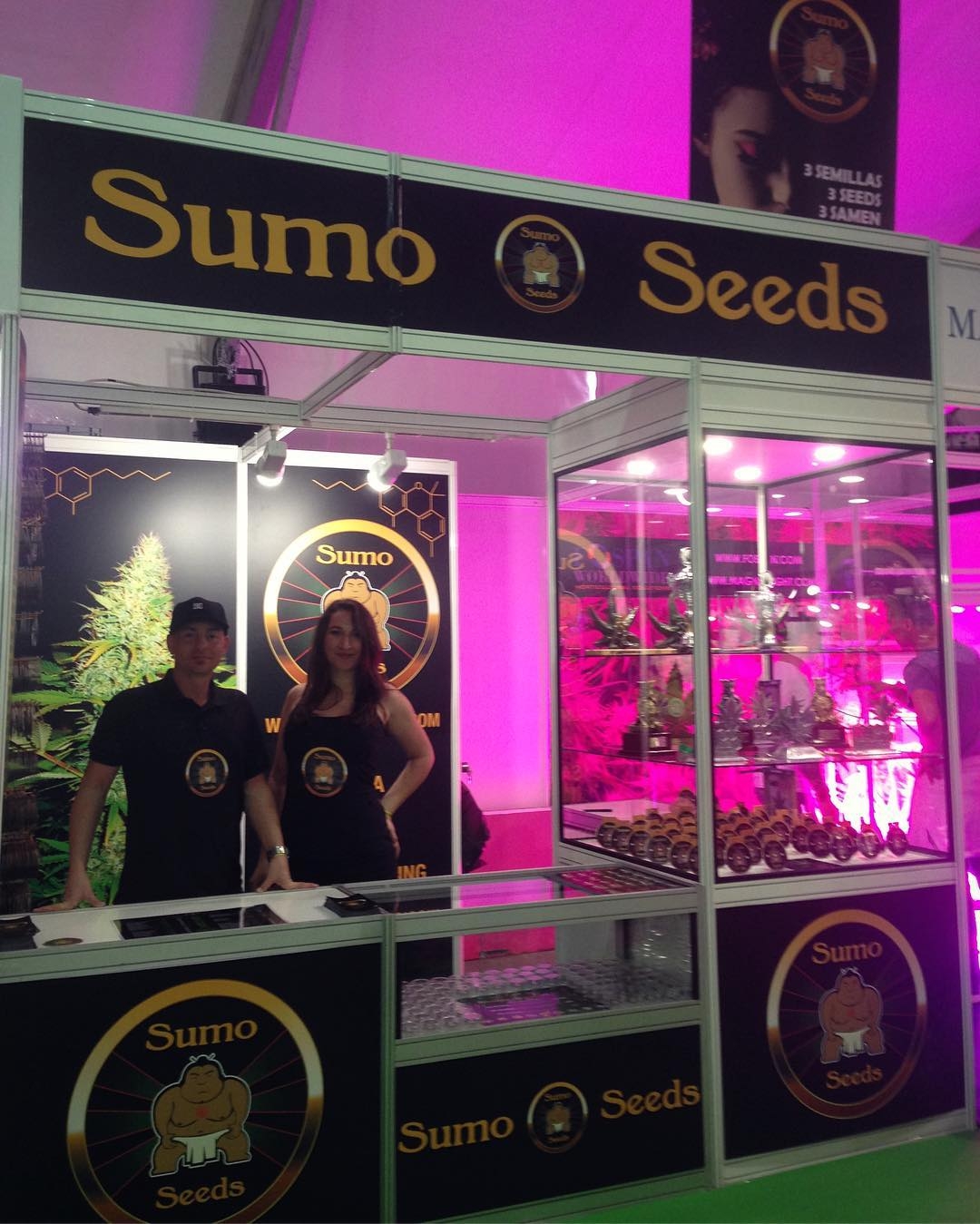 Sumo Seeds breeder. Seed bank info - GrowDiaries