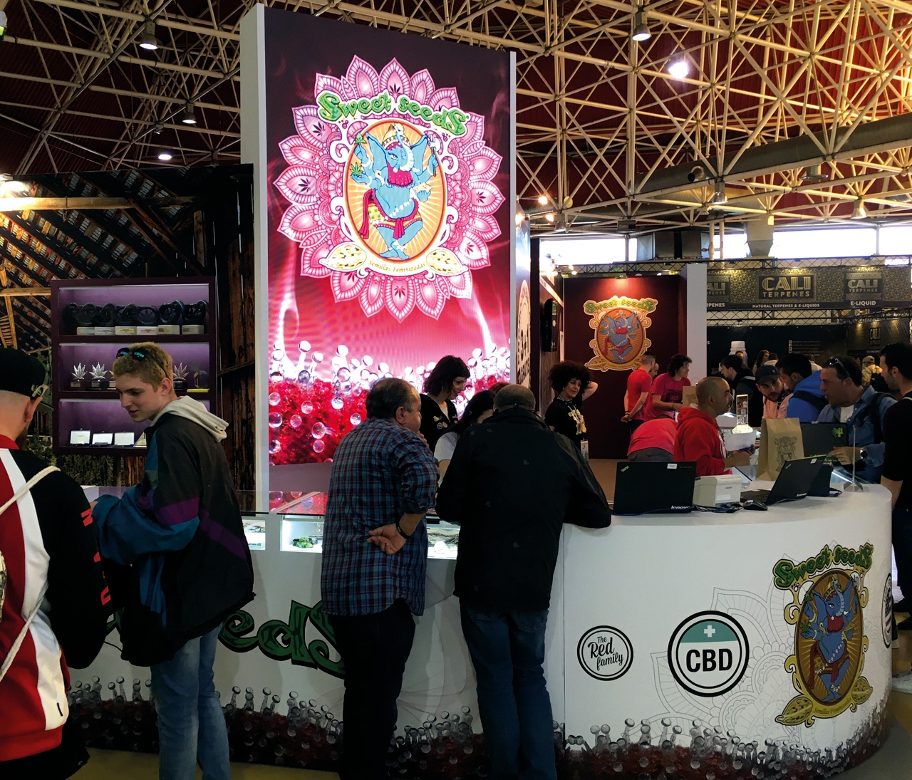 Sweet Seeds breeder. Seed bank info - GrowDiaries