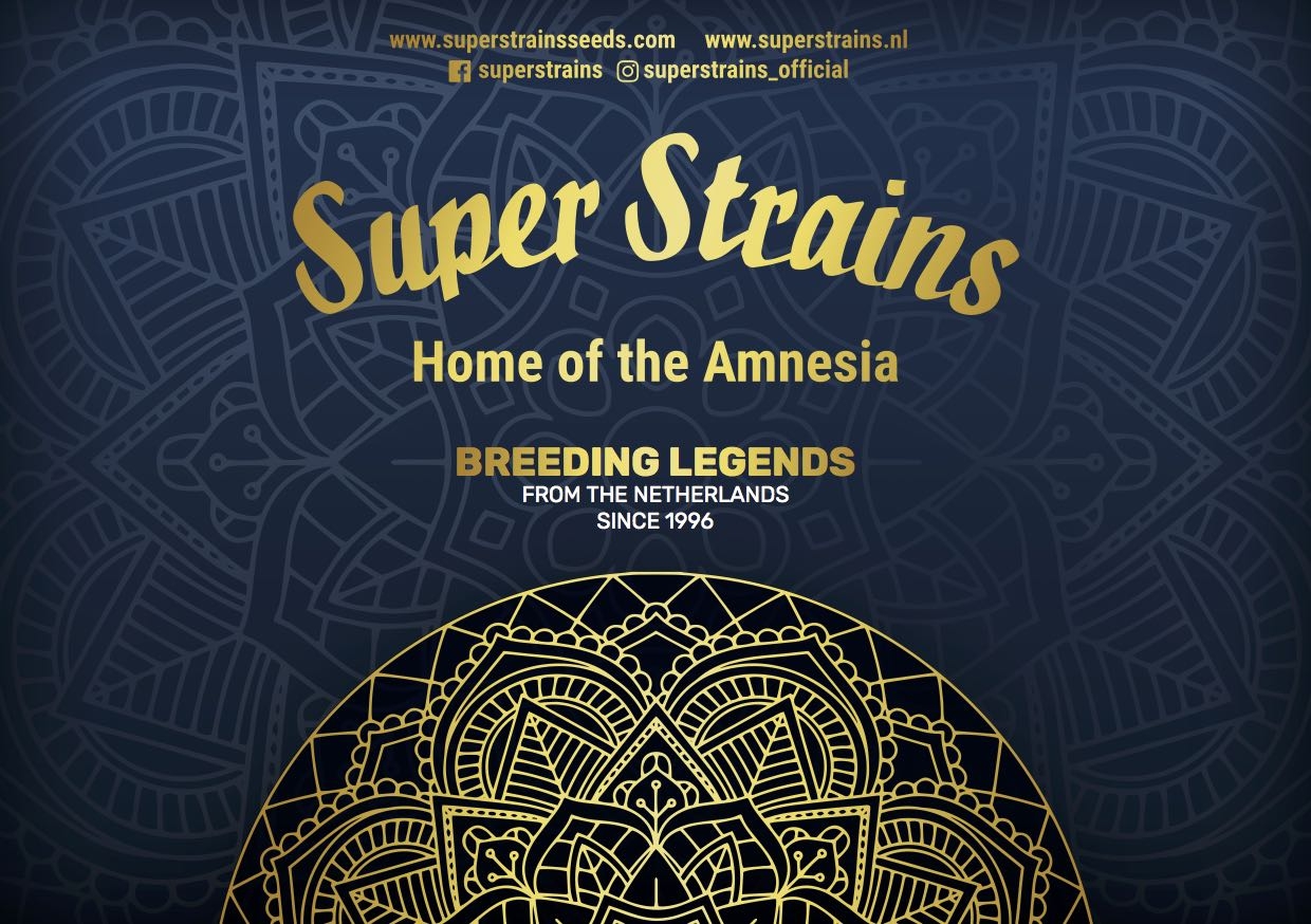 Super Strains breeder. Seed bank info - GrowDiaries