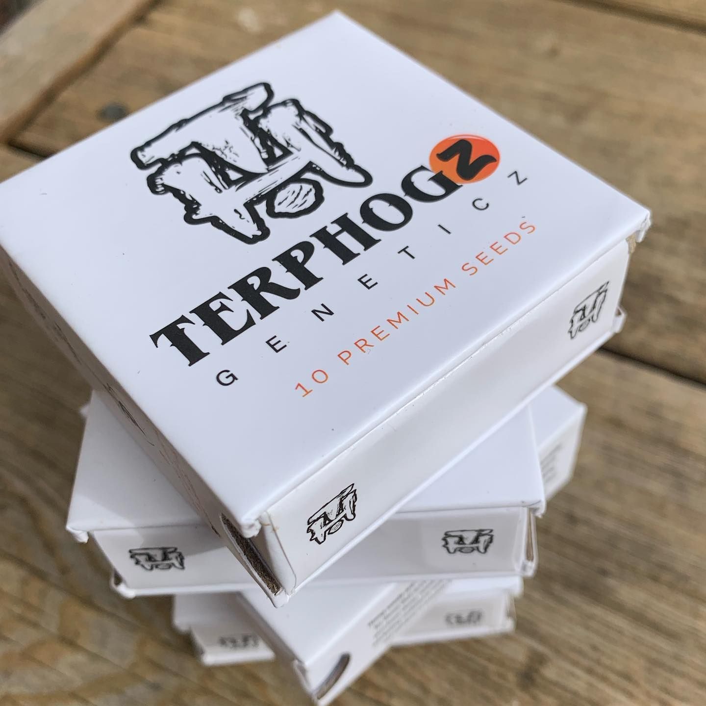 Terphogz breeder. Seed bank info - GrowDiaries