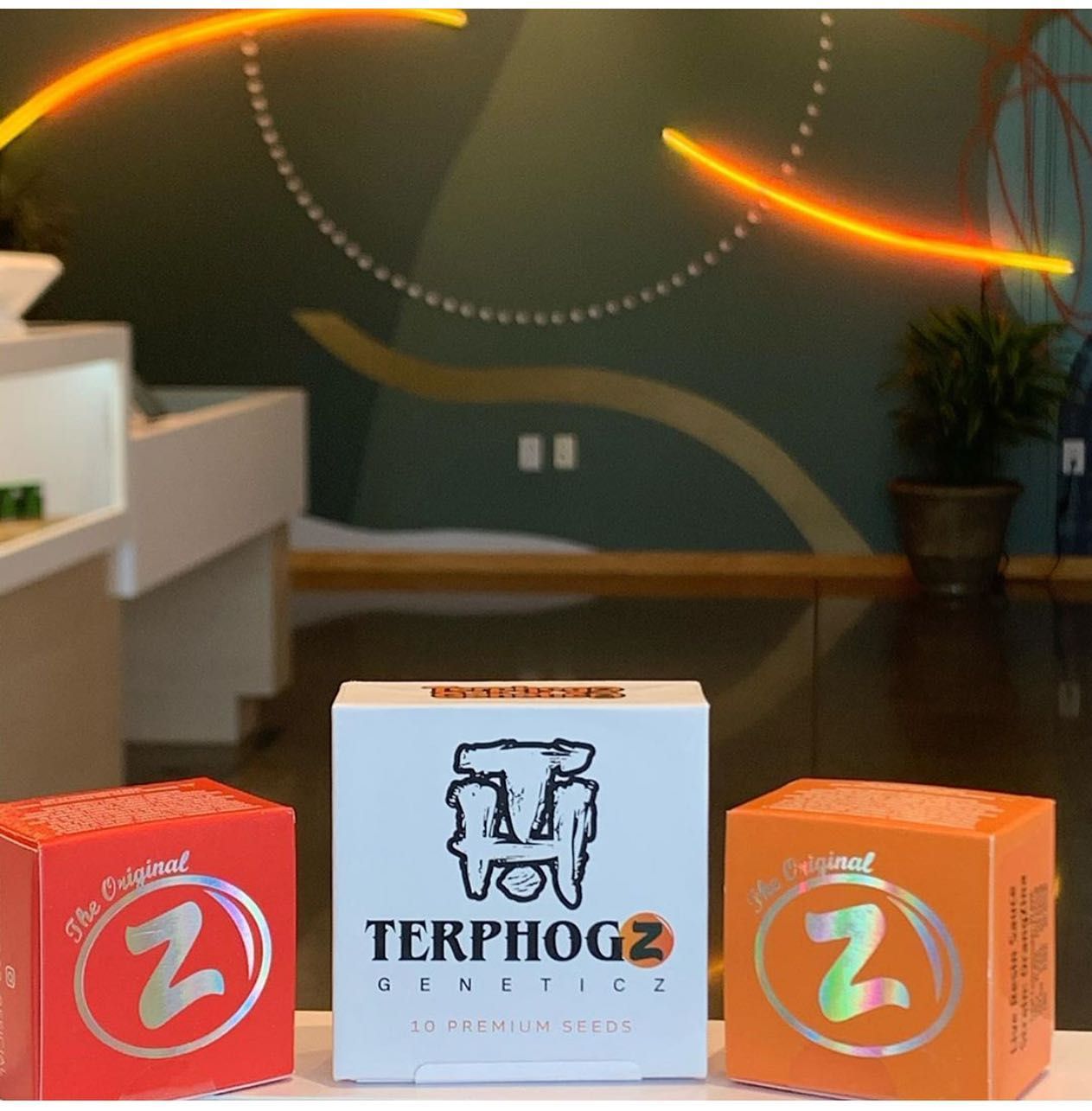 Terphogz breeder. Seed bank info - GrowDiaries