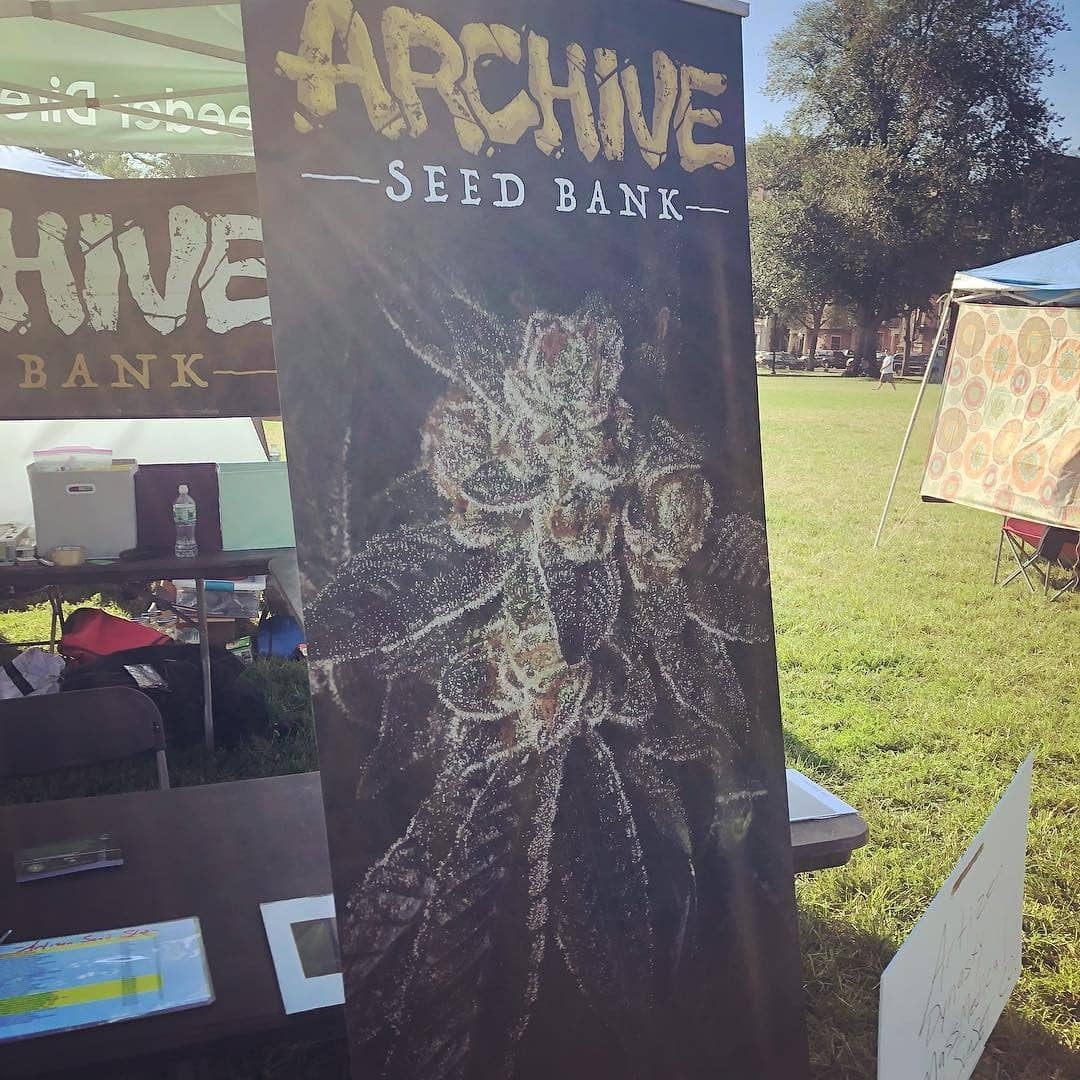Archive Seed Bank breeder. Seed bank info - GrowDiaries