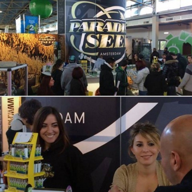 Paradise Seeds breeder. Seed bank info - GrowDiaries