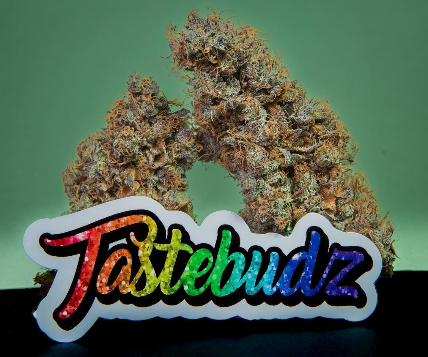 Tastebudz Genetics breeder. Seed bank info - GrowDiaries