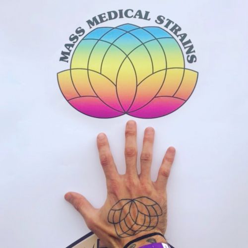 Mass Medical Strains breeder. Seed bank info - GrowDiaries