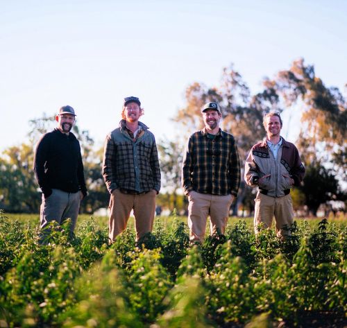 Atlas Seed breeder. Seed bank info - GrowDiaries