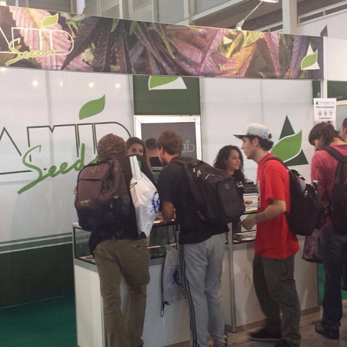 Pyramid Seeds breeder. Seed bank info - GrowDiaries