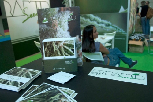 Pyramid Seeds breeder. Seed bank info - GrowDiaries