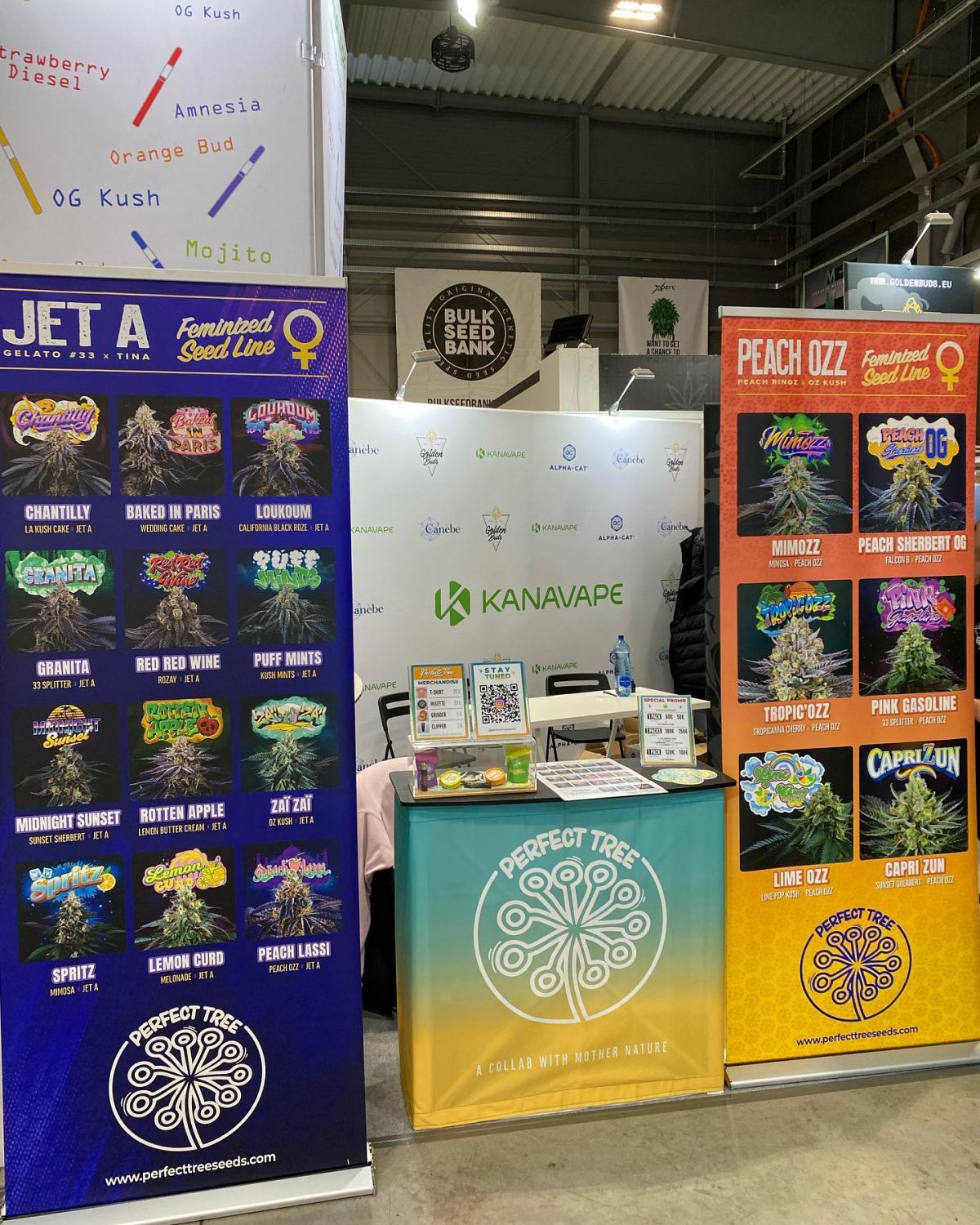 Perfect Tree breeder. Seed bank info - GrowDiaries