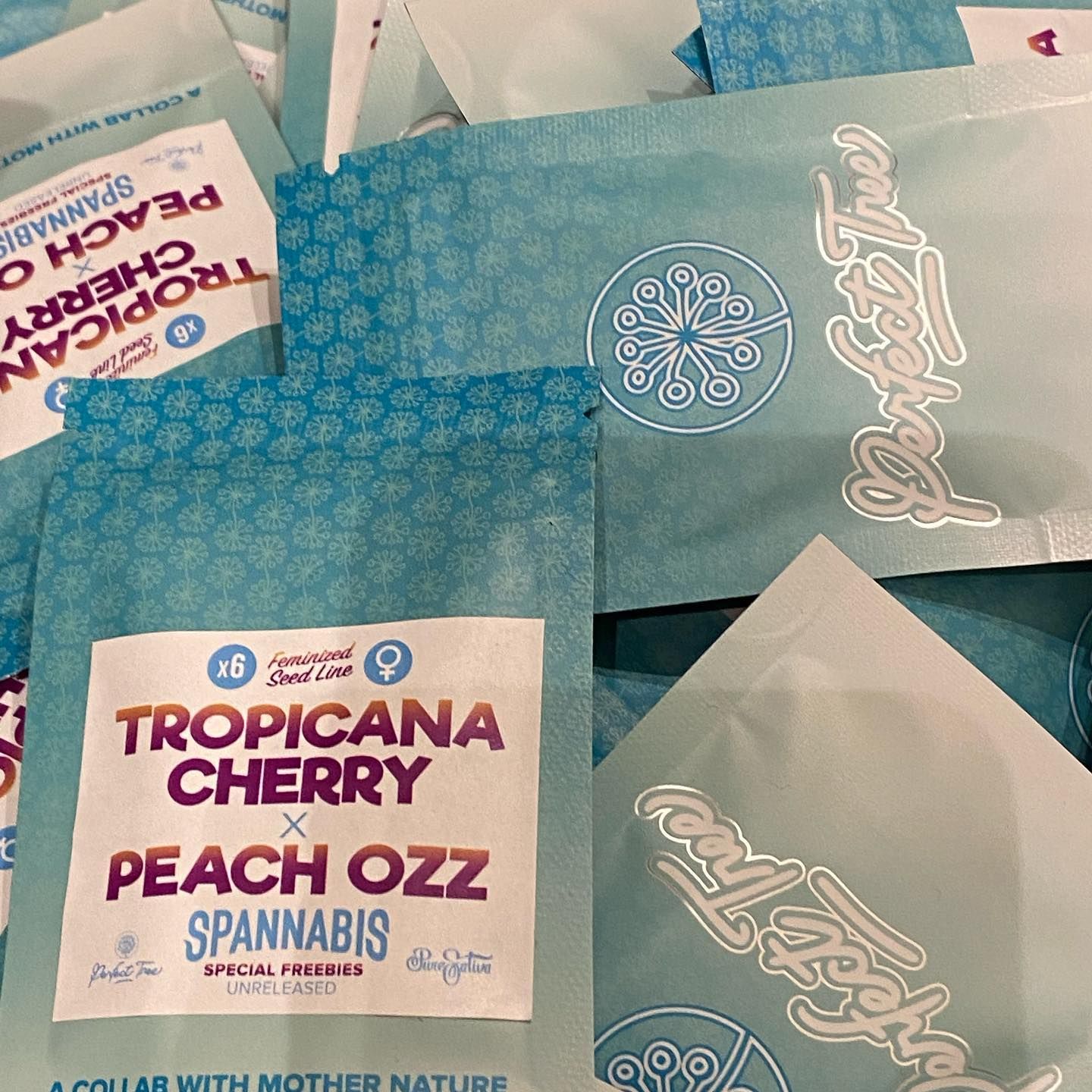 Perfect Tree breeder. Seed bank info - GrowDiaries