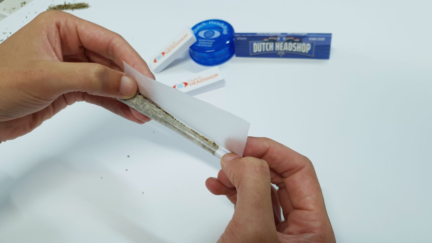 Dutch-Headshop Seeds breeder. Seed bank info - GrowDiaries