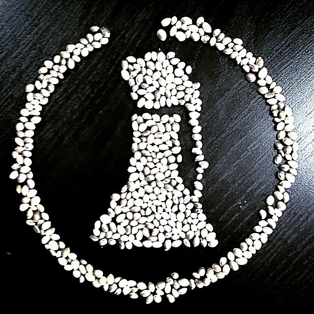 Medical Seeds breeder. Seed bank info - GrowDiaries