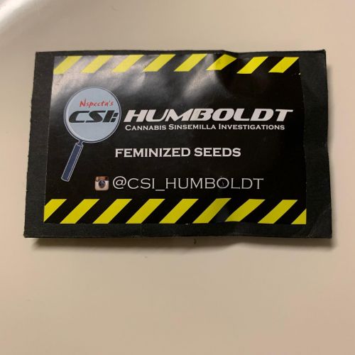 Humboldt CSI breeder. Seed bank info - GrowDiaries