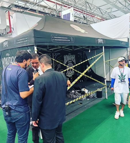 The Kush Brothers breeder. Seed bank info - GrowDiaries