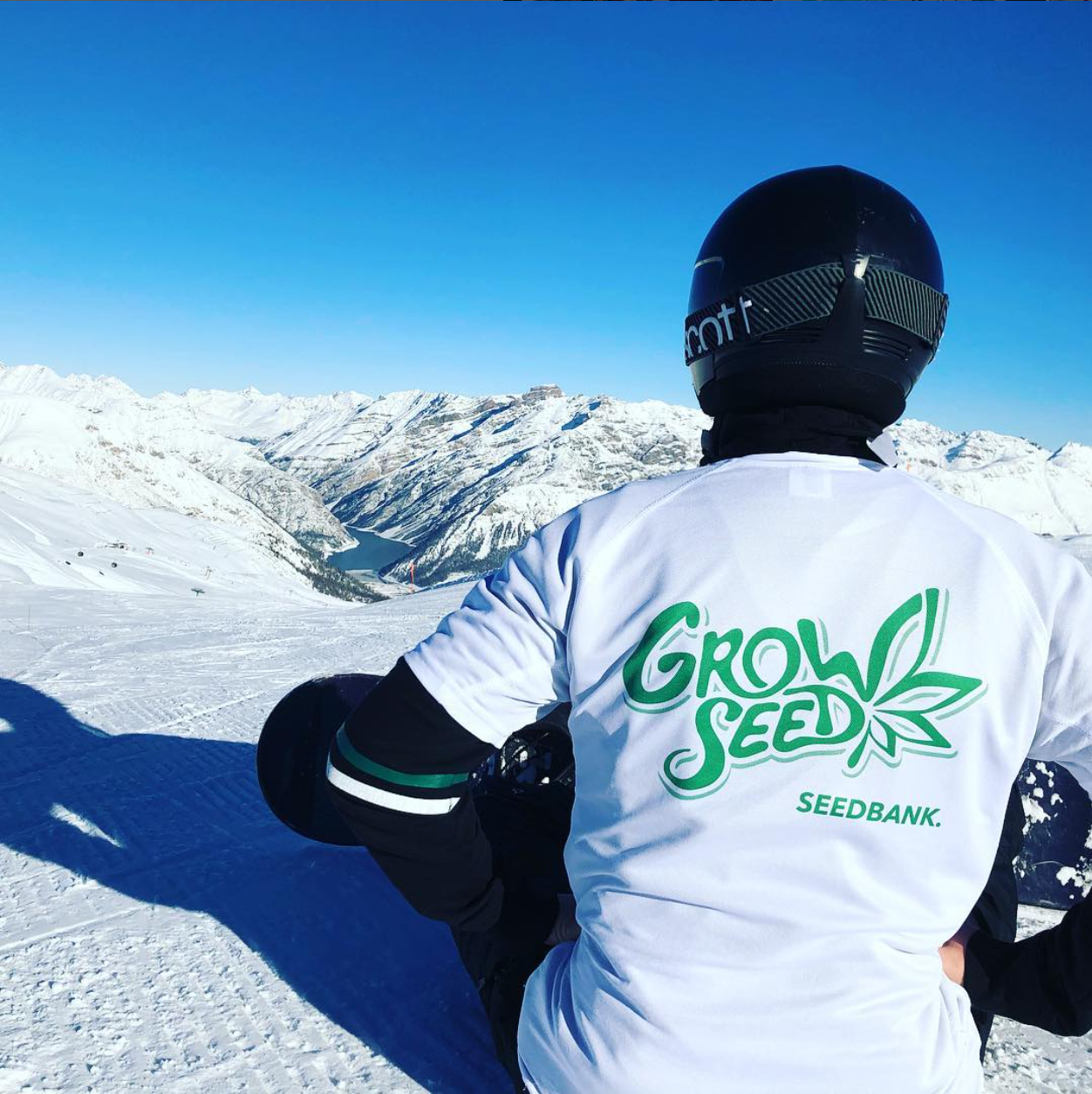 Grow Seed breeder. Seed bank info - GrowDiaries