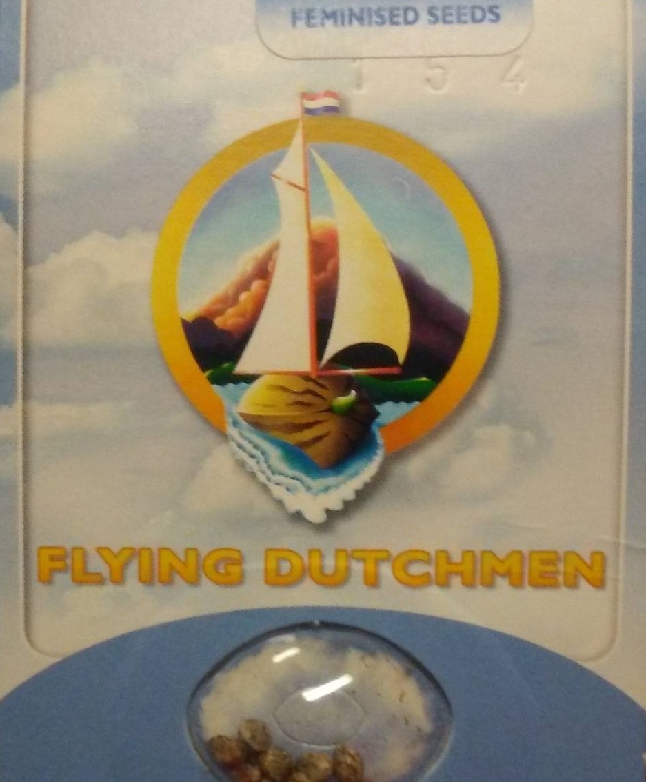 Flying Dutchmen breeder. Seed bank info - GrowDiaries