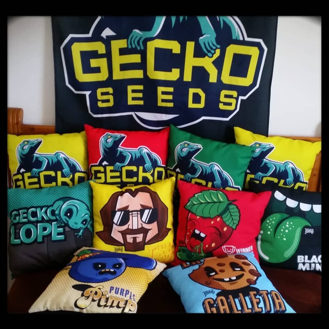 Gecko Seeds breeder. Seed bank info - GrowDiaries