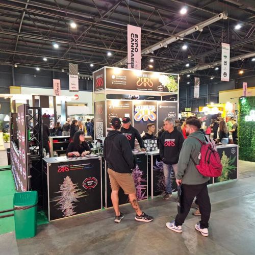 Silver River Seeds breeder. Seed bank info - GrowDiaries