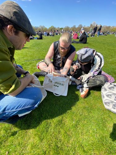 Seedsman breeder. Seed bank info - GrowDiaries