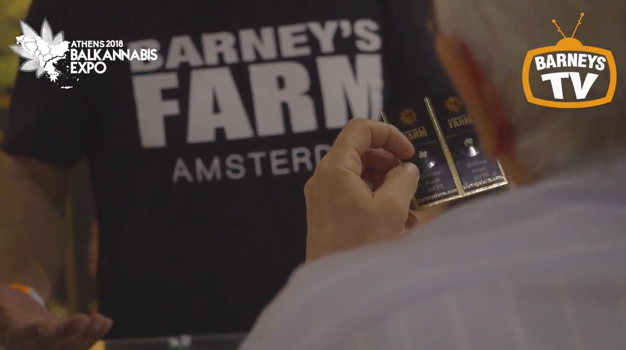 Barney's Farm breeder. Seed bank info - GrowDiaries