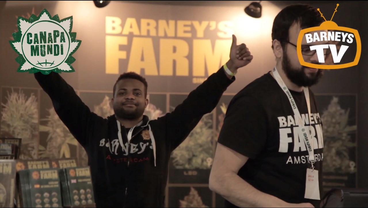 Barney's Farm breeder. Seed bank info - GrowDiaries