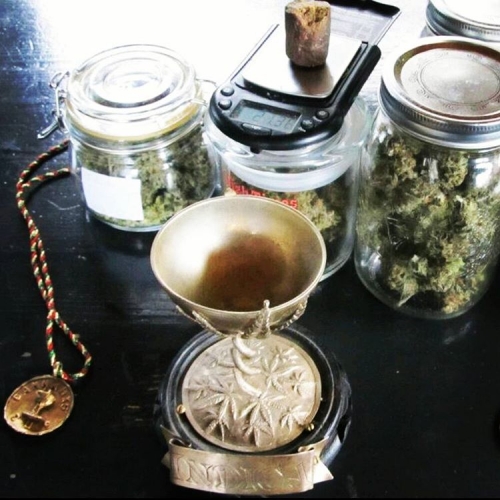 BC Bud Depot breeder. Seed bank info - GrowDiaries