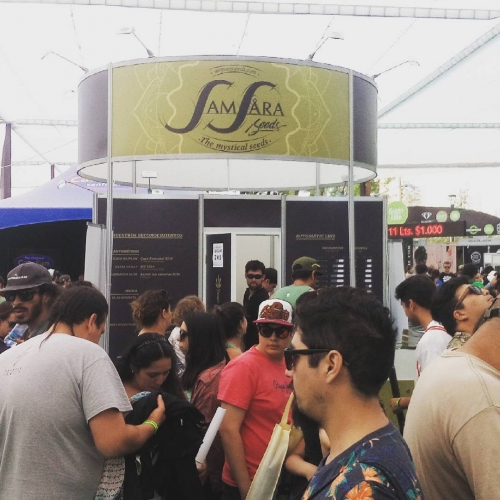 Samsara Seeds breeder. Seed bank info - GrowDiaries