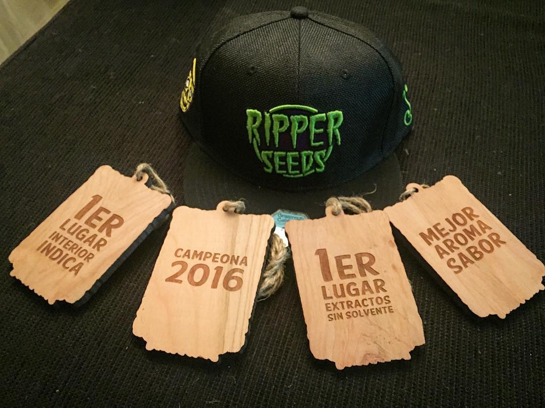 Ripper Seeds breeder. Seed bank info - GrowDiaries