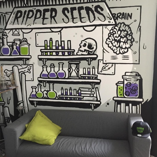 Ripper Seeds breeder. Seed bank info - GrowDiaries