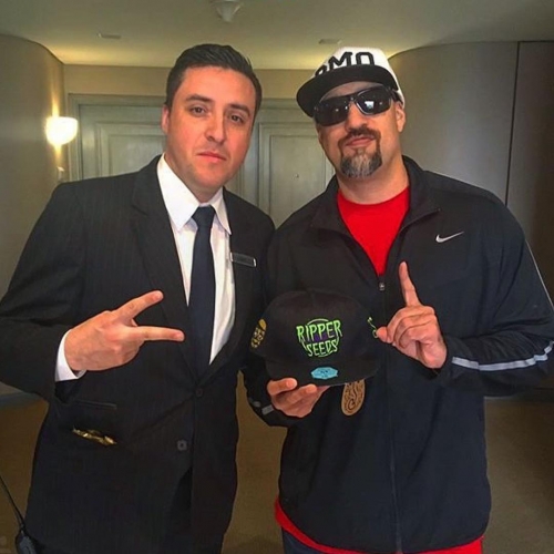 Ripper Seeds breeder. Seed bank info - GrowDiaries