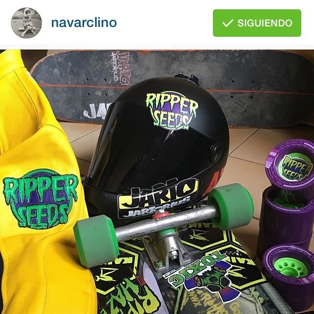 Ripper Seeds breeder. Seed bank info - GrowDiaries