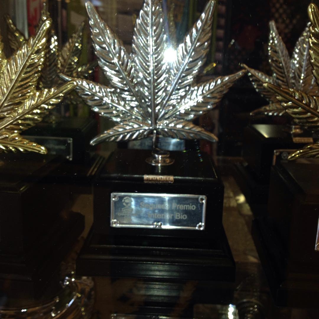 Ripper Seeds breeder. Seed bank info - GrowDiaries