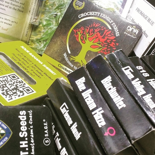 The Cali Connection breeder. Seed bank info - GrowDiaries