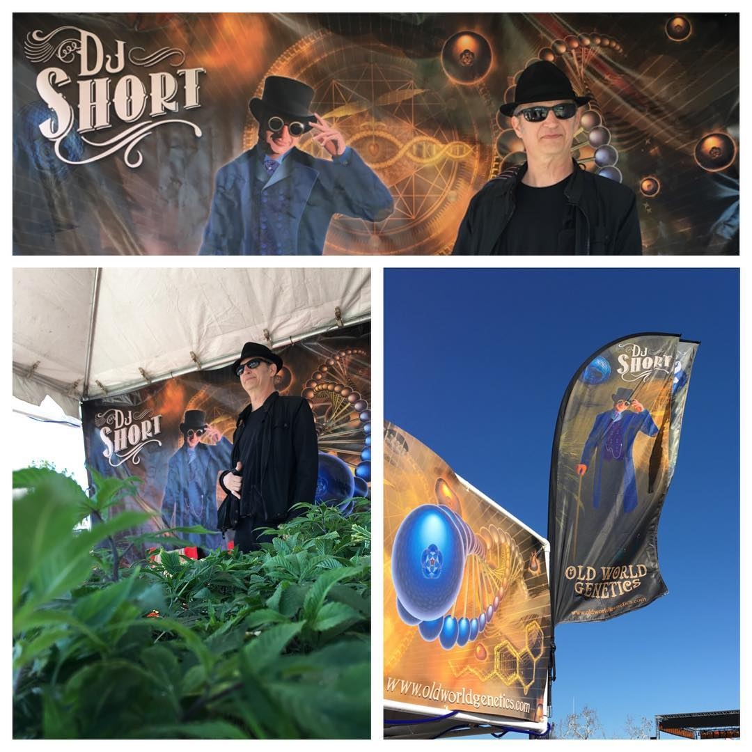 DJ Short breeder. Seed bank info - GrowDiaries