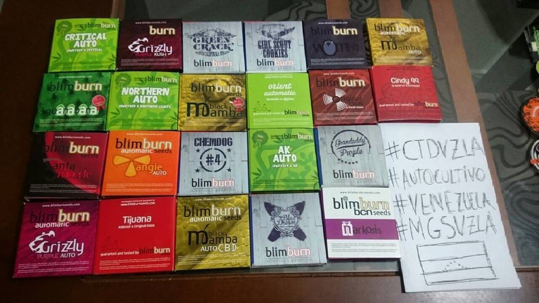 Blimburn Seeds breeder. Seed bank info - GrowDiaries