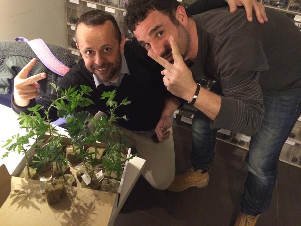 Blimburn Seeds breeder. Seed bank info - GrowDiaries