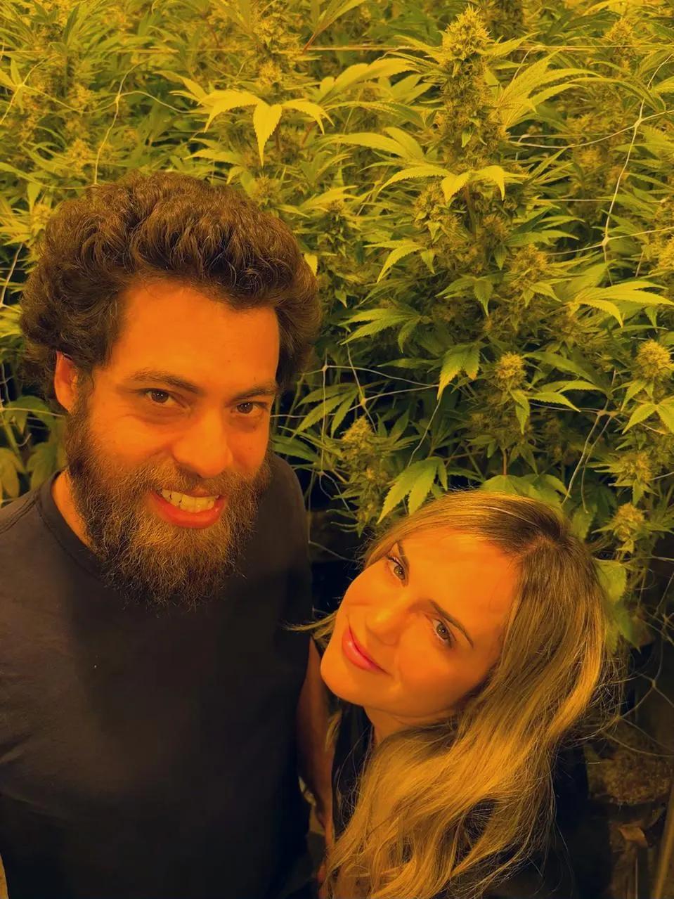 Team Elite Genetics breeder. Seed bank info - GrowDiaries